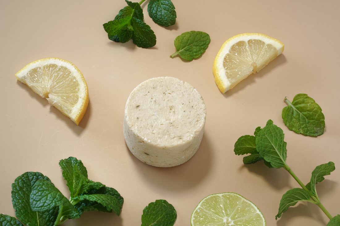 CUBANO - Champú equilibrante de arcilla caolín, zumo de limón y esenci ...